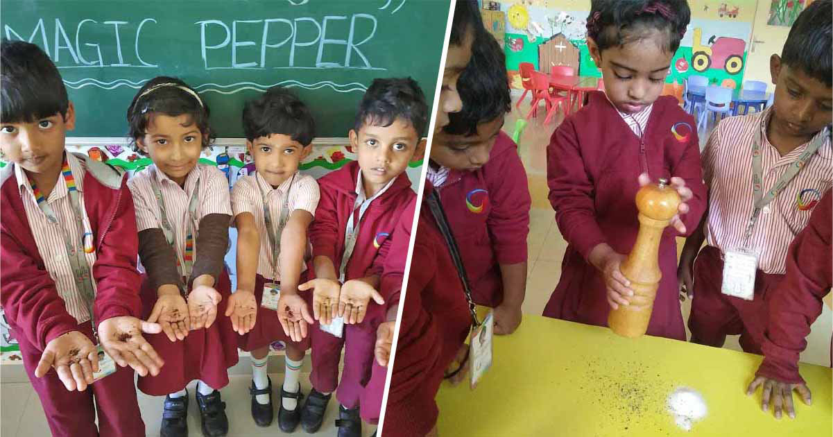Jumping Pepper, Magical Pepper And Cornstarch-Water Experiments Amazed ...