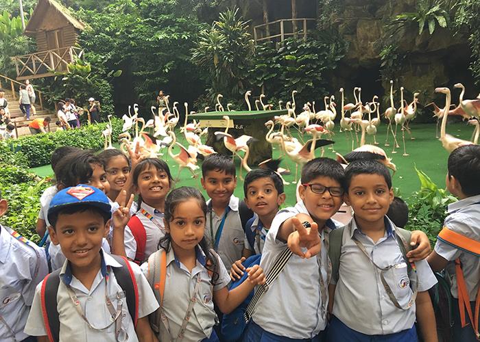 Giis Balestier Campus Students Visit Jurong Bird Park