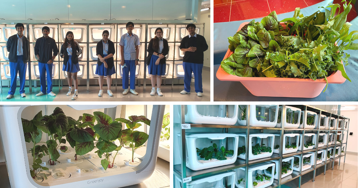 Giis Sustainability Sphere Club’S First Project Proves Fruitful