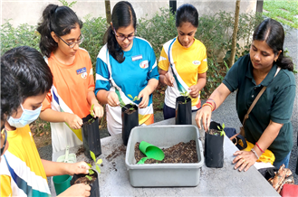 Growing Green Together: Giis Kl Partners With Free Tree Society At ...