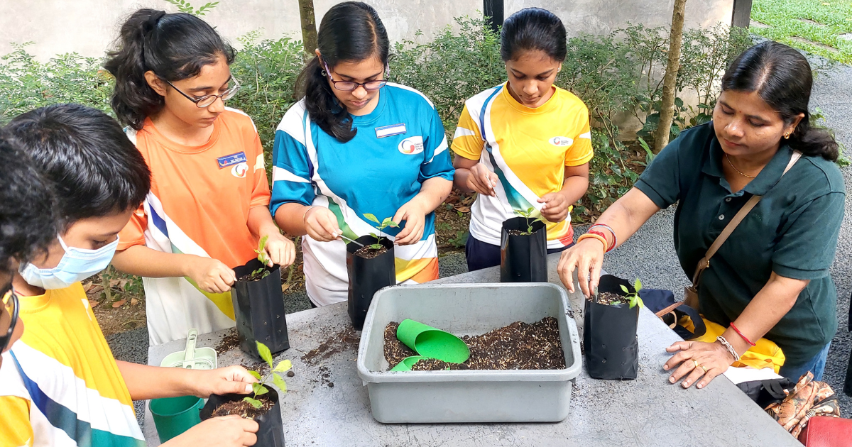 Growing Green Together: Giis Kl Partners With Free Tree Society At ...